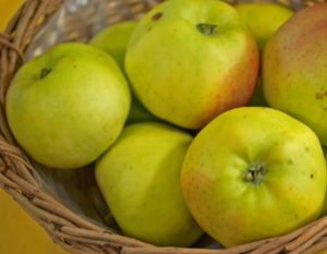 16 Types of Yellow Apples And How To Identify Them - Mississippi Greens