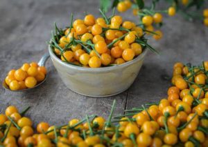 18 Types of Yellow Peppers And Their Characteristics - Mississippi Greens