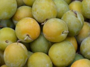 20 Types of Plums: Black, Red, and More Varieties (With Pictures ...