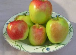 21 Types of Green Apples: How To Identify Them (Names & Pictures ...