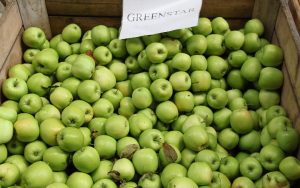 21 Types of Green Apples: How To Identify Them (Names & Pictures ...