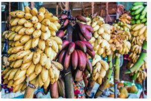 36 Types of Bananas (Origin, Characteristics & Uses) - Mississippi Greens