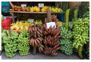 36 Types of Bananas (Origin, Characteristics & Uses) - Mississippi Greens