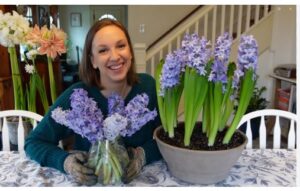 24 Types of Hyacinth Flowers (With Pictures)- Identification Guide